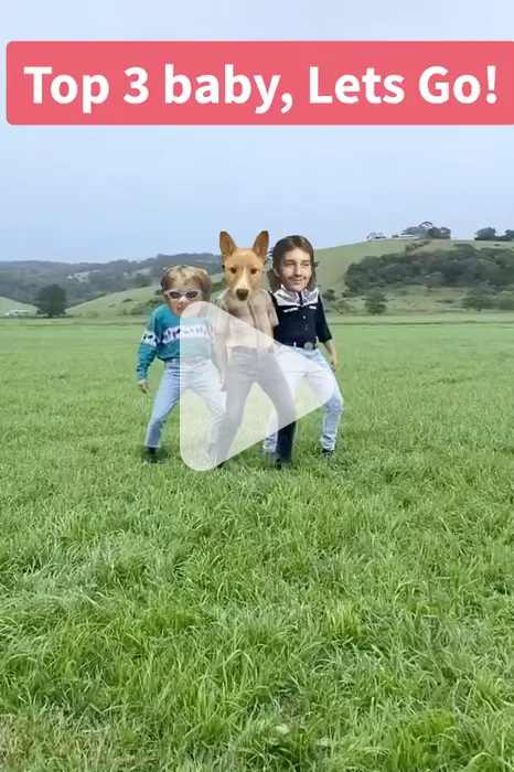 Woohoo finally out here! video meme - Piñata Farms - The best meme ...