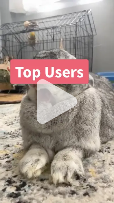 When you’re mid stroke and your hookup says “Your Pinata’s are my ...