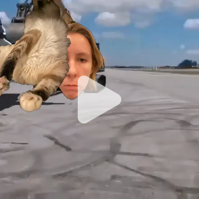 Whee #piñatacatclub video meme - Piñata Farms - The best meme generator ...