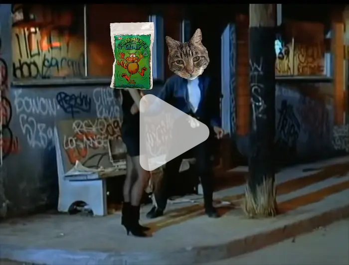 Not all cats enjoy catnip. Approx. 67% of cats are born with the lucky ...